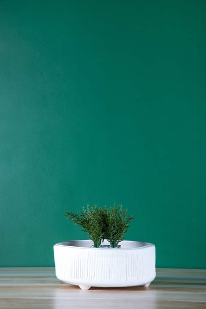 Buy Large Plant Pots for Indoor & Outdoor of Ceramic & Metal – Freedom Tree