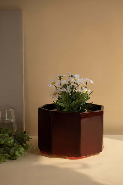 Buy Large Plant Pots for Indoor & Outdoor of Ceramic & Metal – Freedom Tree