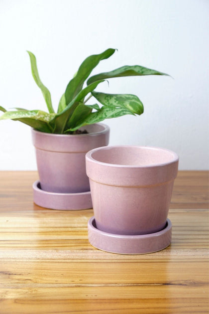Ceramic Plant Pots - Buy Indoor Planters Online in India – Freedom Tree